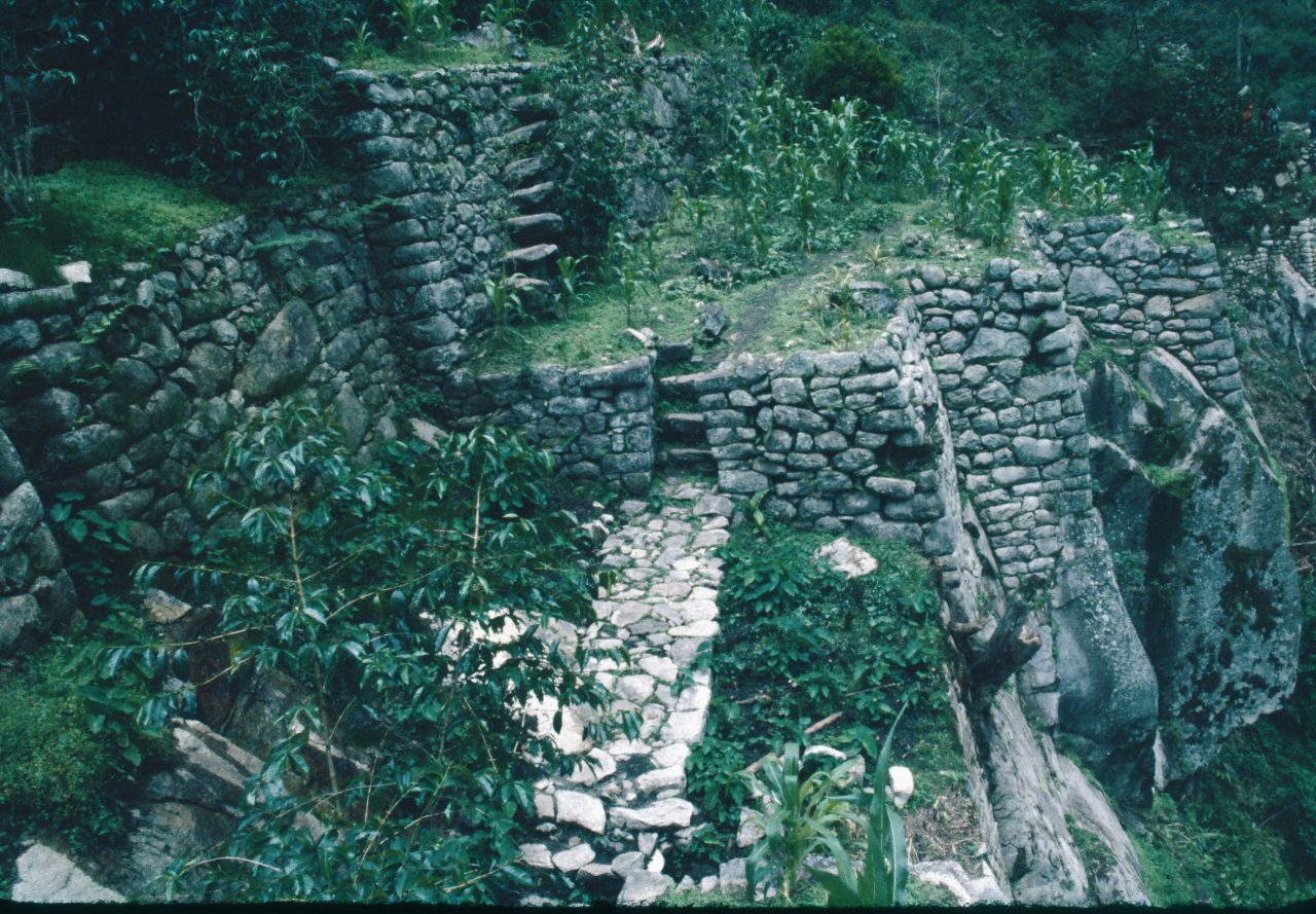 The fire in Machu Picchu, which led to the discovery of a lost Inca ...