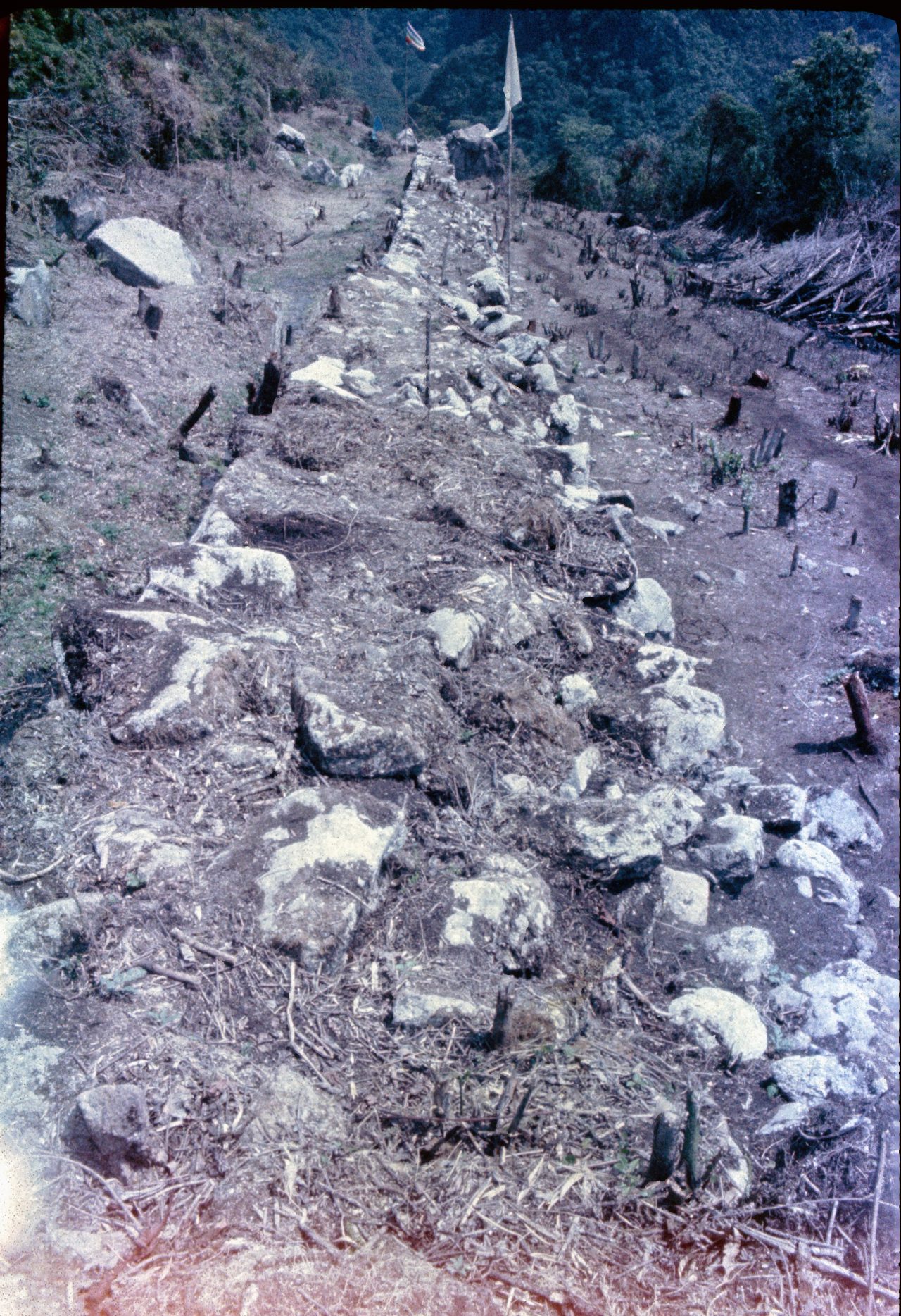 The fire in Machu Picchu, which led to the discovery of a lost Inca ...